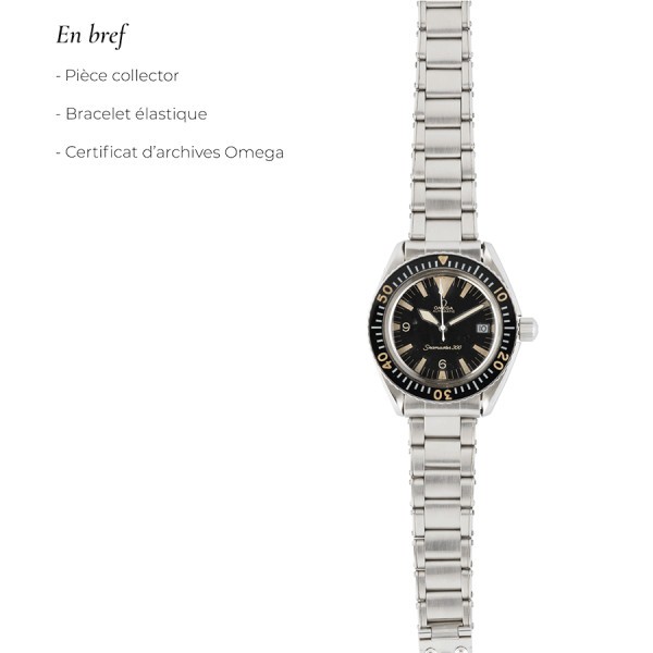 Watch Omega Seamaster 300 "Big Triangle" 1969 Ref. 166024 - Lepage