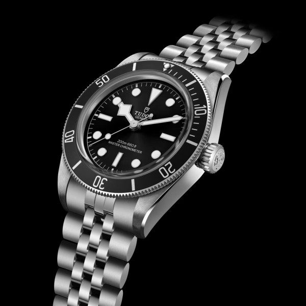 Tudor Black Bay Monochrome METAS steel M7941A1A0NU-0003 - Lepage