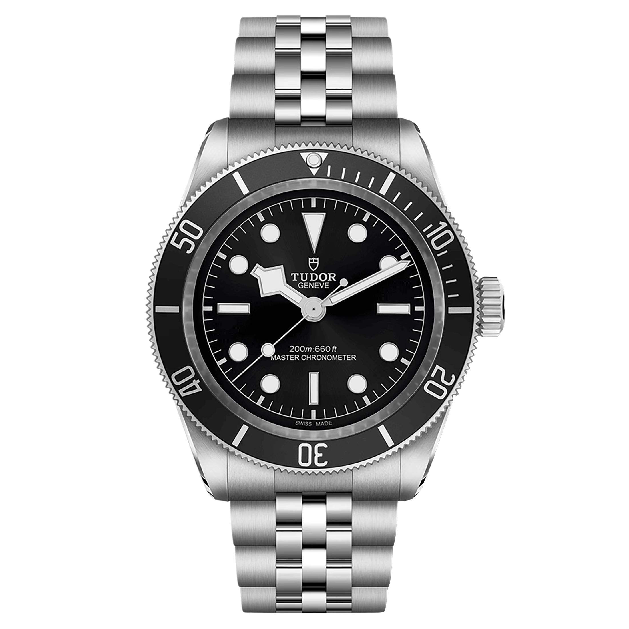 Tudor Black Bay Monochrome METAS acier M7941A1A0NU-0003 - Lepage